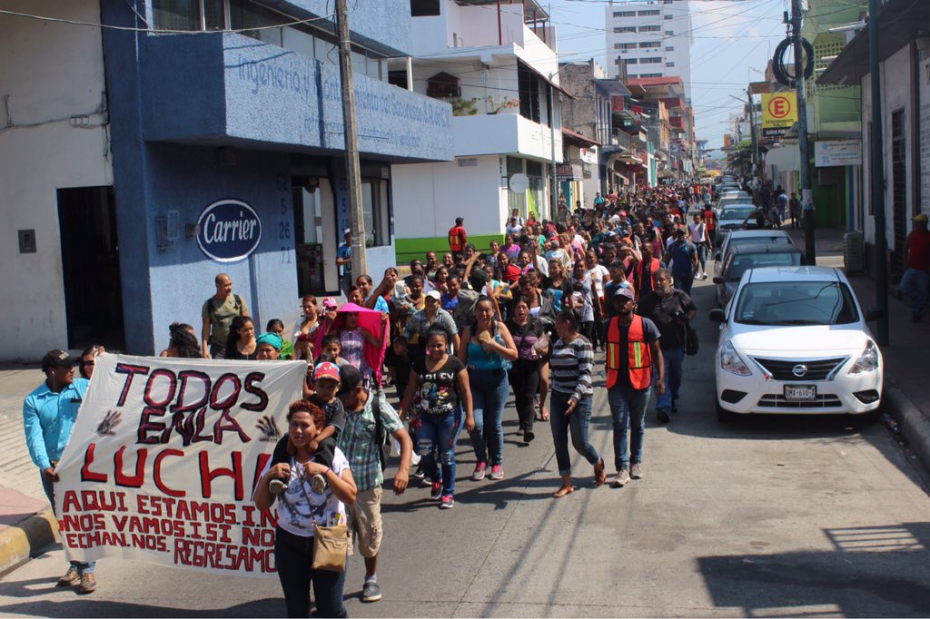 5 Essential Reads to Give You More Context About the Reasons Why There ...