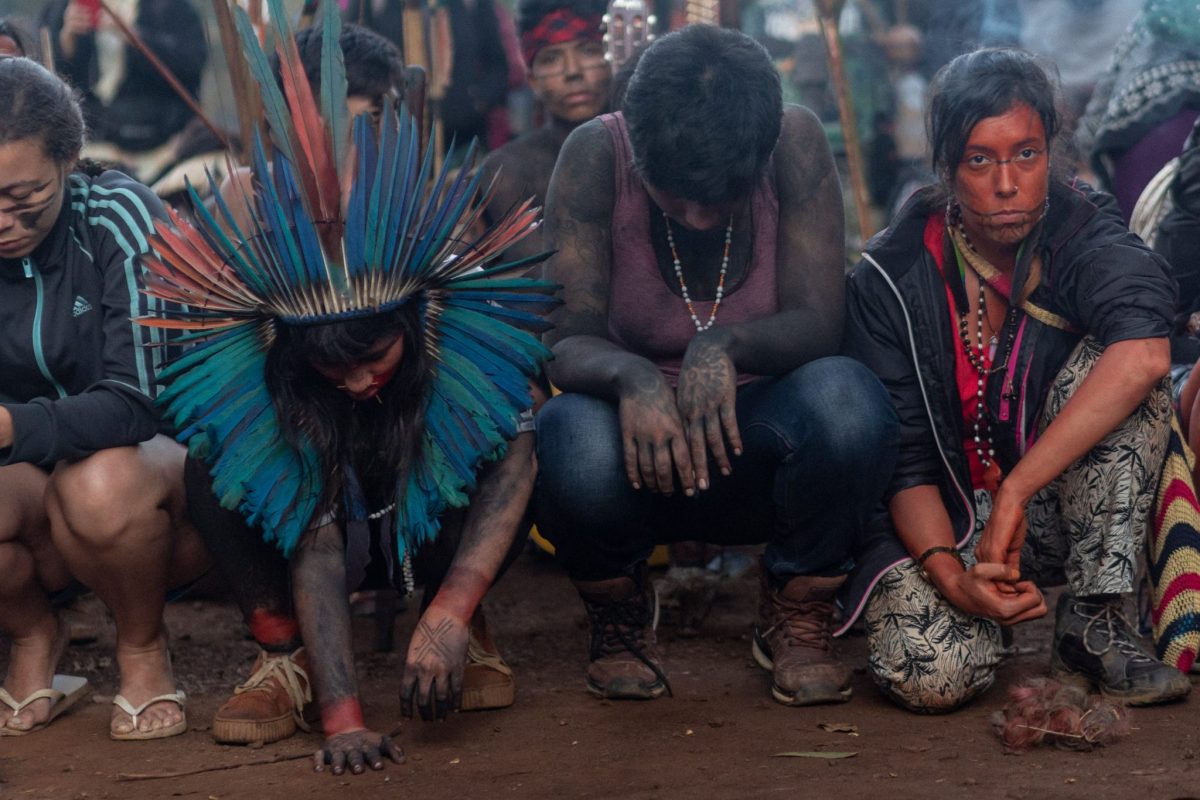 Guaraní Mbyá Win Reprieve From Deforestation - Latino Rebels